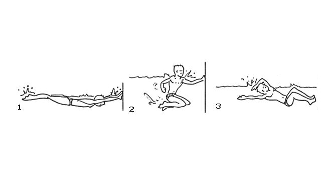 VIRAJE: Braza y Mariposa. Ficha Técnica - Natación - Deportes ...